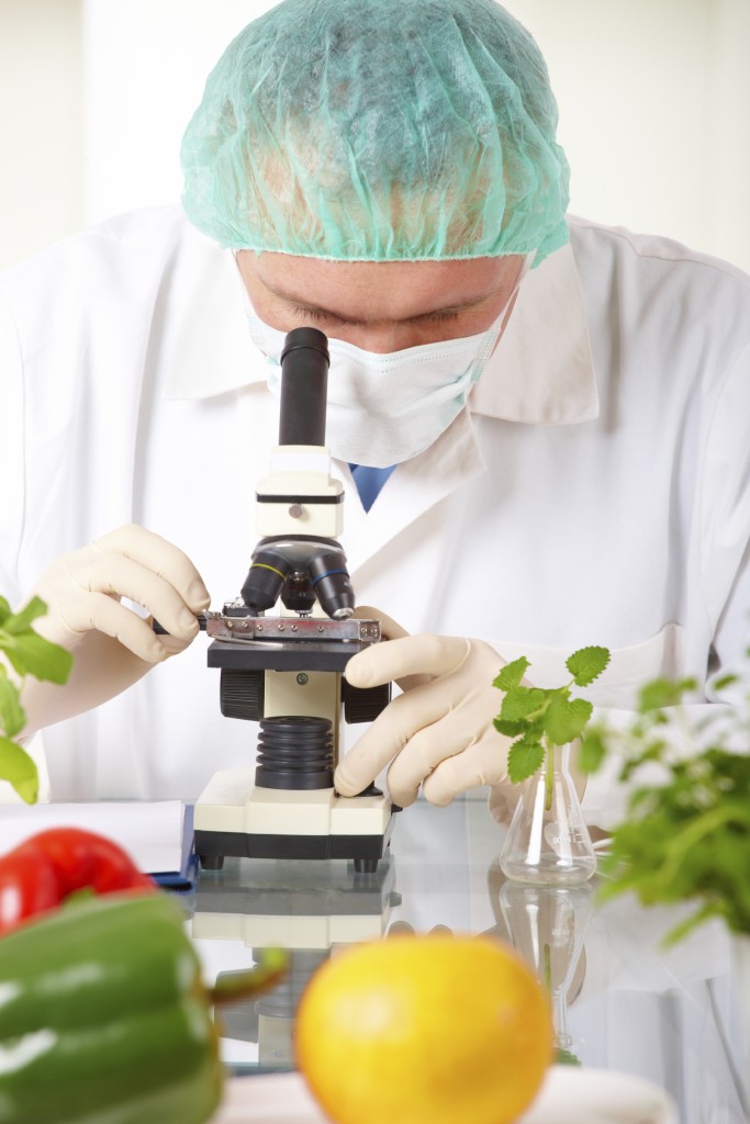 Genetically Modified Organisms (GMO) - The World Foundation for Natural ...