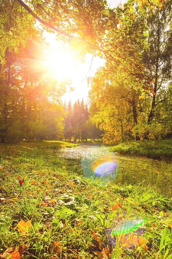 Sunlight is nourishment - The World Foundation for Natural Science