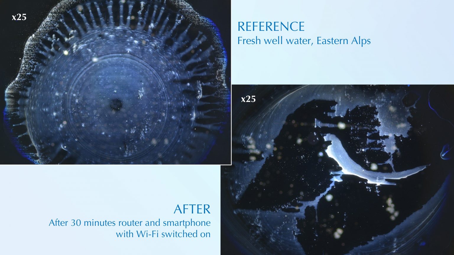 Water – The Elixir of Life: Threatened by Radiation? - The World ...