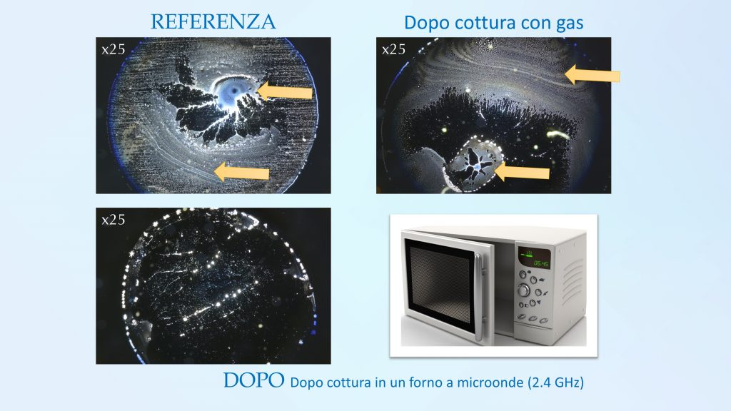 Acqua: l'elisir di lunga vita minacciata dalle radiazioni? - The World ...