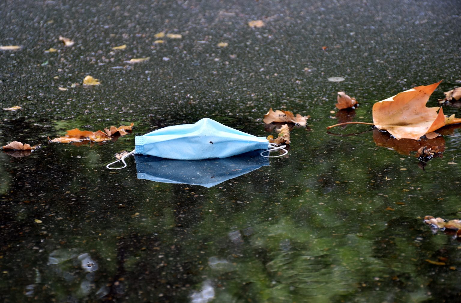 Microplastics - An Invisible Danger for Our Health - The World ...