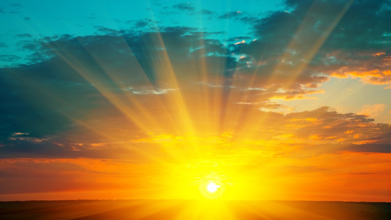 The True Science of Life - The World Foundation for Natural Science