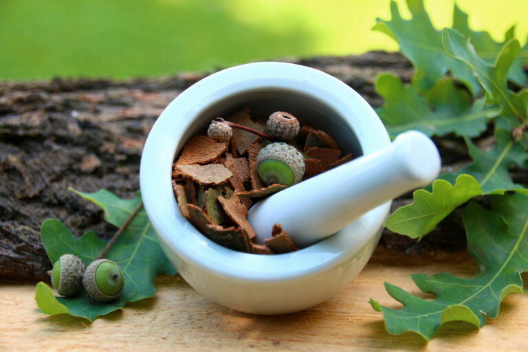 Discover the Healing Power of the Trees - The World Foundation for ...